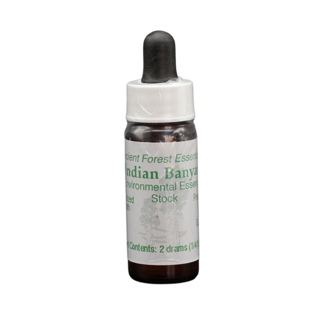 Indian Banyan Tree Individual Essence – Healing Waters