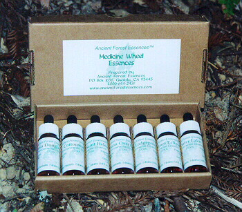 Ancient Forest Essences Kit #3 – Medicine Wheel Essences – Healing Waters