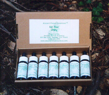 Ancient Forest Essences Kit #5 – Unity – Healing Waters