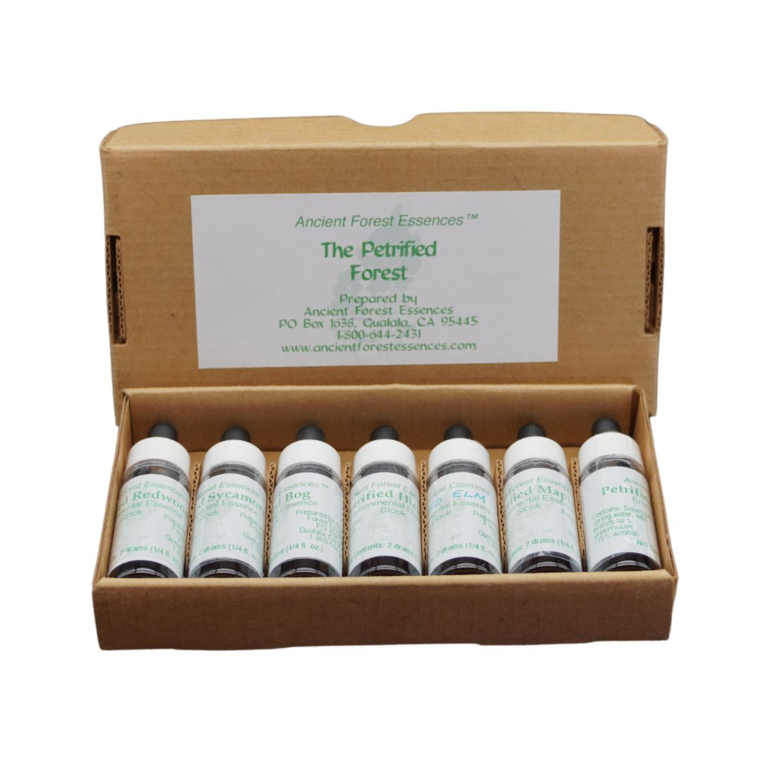 Ancient Forest Essences Kit #6 – The Petrified Forest – Healing Waters