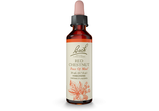 Red Chestnut Flower Essence – Healing Waters