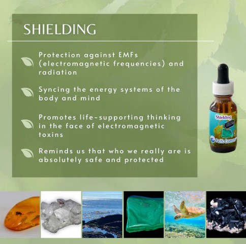 Shielding Combination Formula – Healing Waters